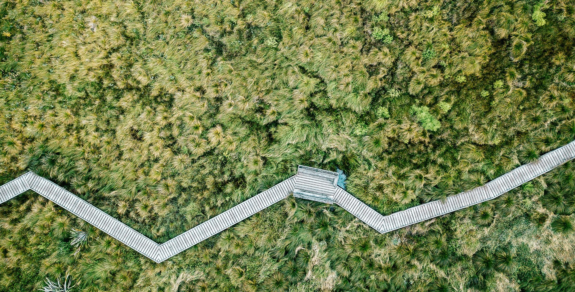 Geolocation Data 101: A Guide to Powerful Place-Based Insights