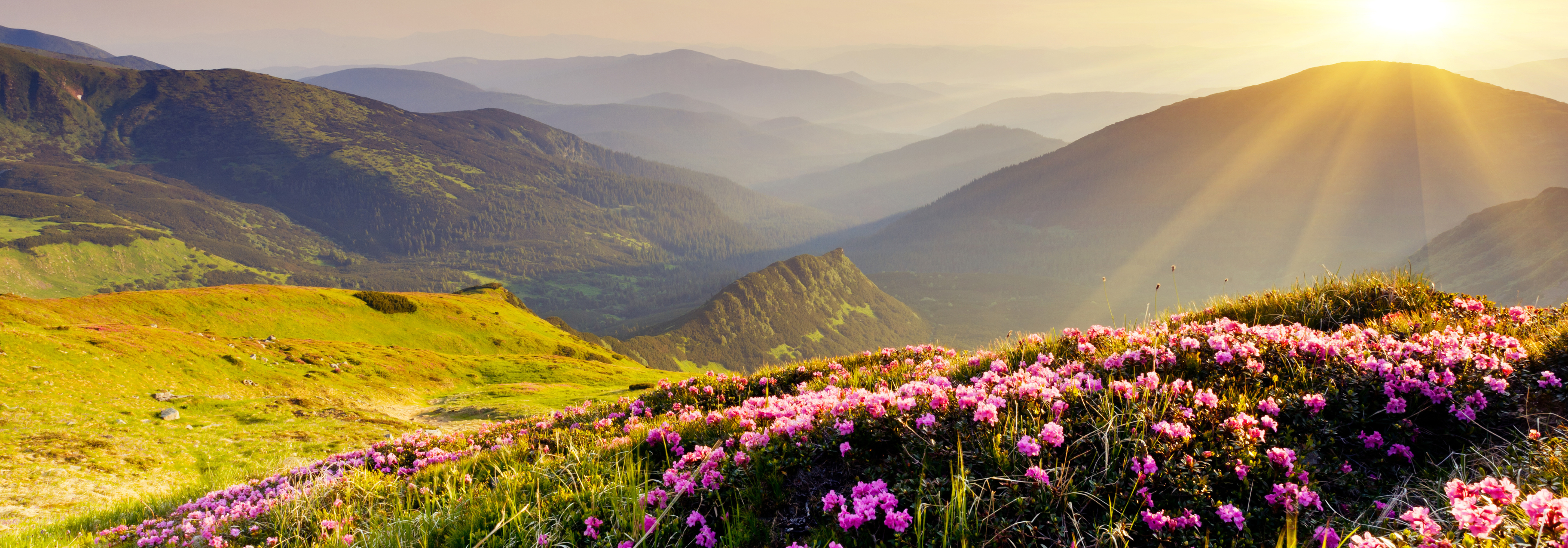 Spring Travel Outlook 2025